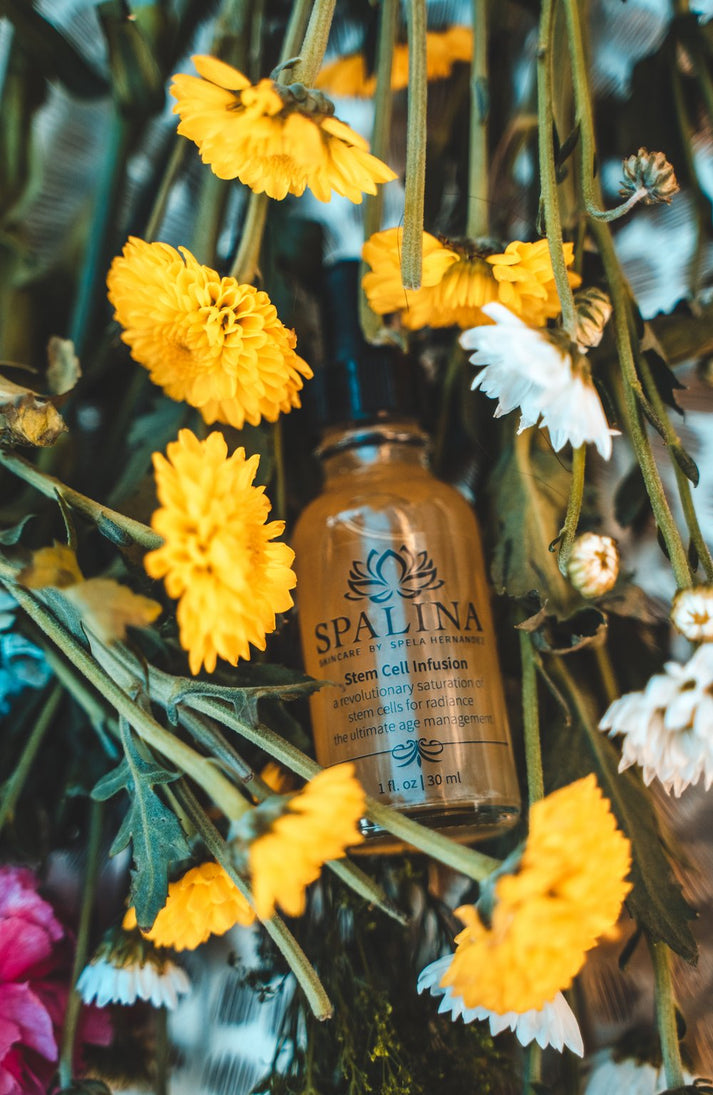 Stem Cell Infusion Serum - NEW Improved Formula – Spalina Inc