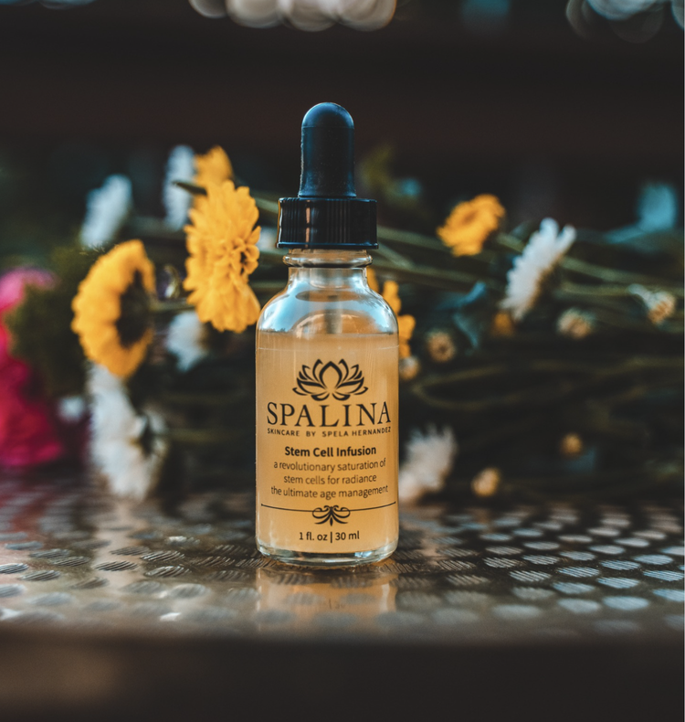Stem Cell Infusion Serum - NEW Improved Formula – Spalina Inc